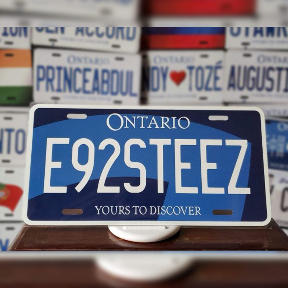 Ontario E92STEEZ Custom Plate – Stand Out with Nene Solutions